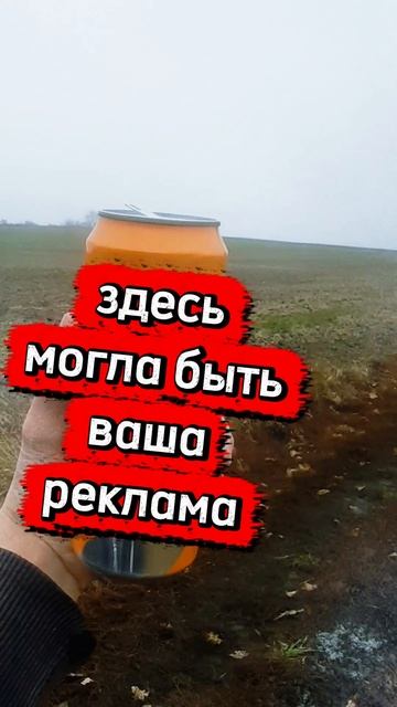 Потерянный БРАТИК