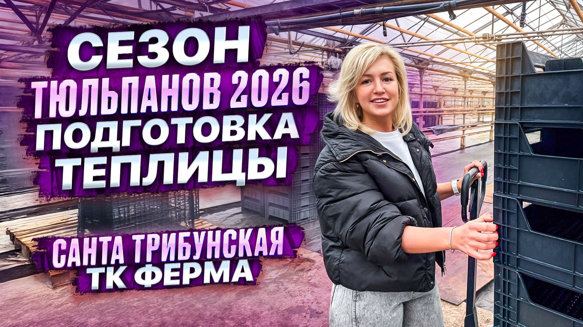 СЕЗОН ТЮЛЬПАНОВ 2026. Подготовка теплицы