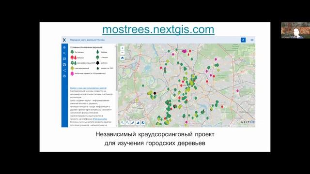 Народная карта деревьев Москвы и методика оценки  плотности инвазии клена ясенелистного