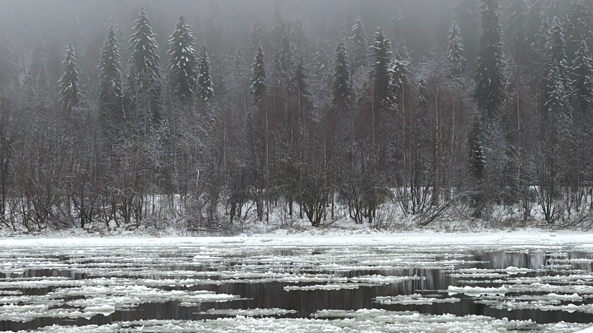 РЕКА ВИШЕРА И ОСТРОВКИ РЯЖИ