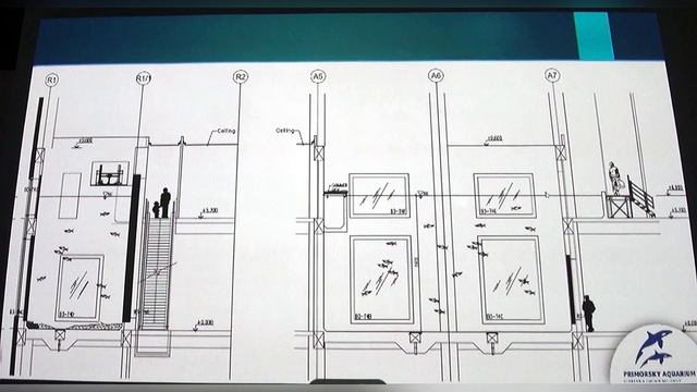 Аквакультура бурых водорослей в экспозиции Приморского океанариума Телегин Андрей Валерьевич