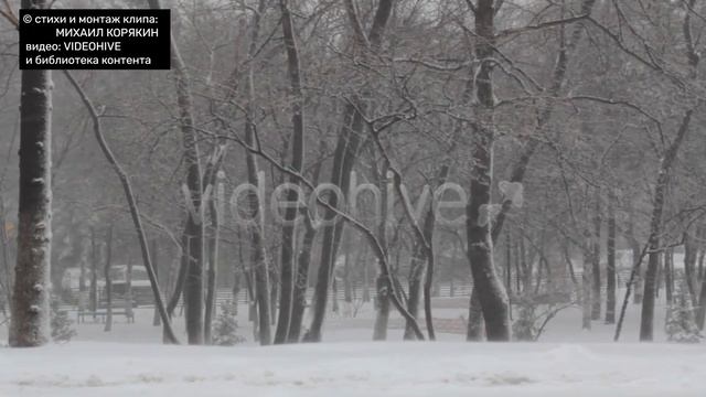 © стихи МИХАИЛ КОРЯКИН снег витает молочно-матовый