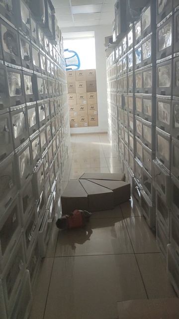 Басик нажал на кнопку и улетел