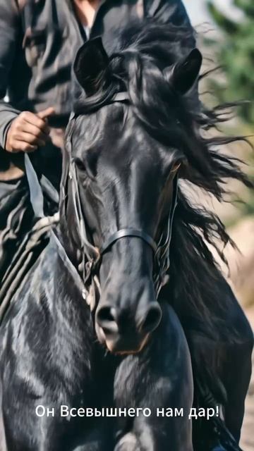 Музыкальный сниппет для исполнителя "О чём поют мужчины". Песня "Дагестан"