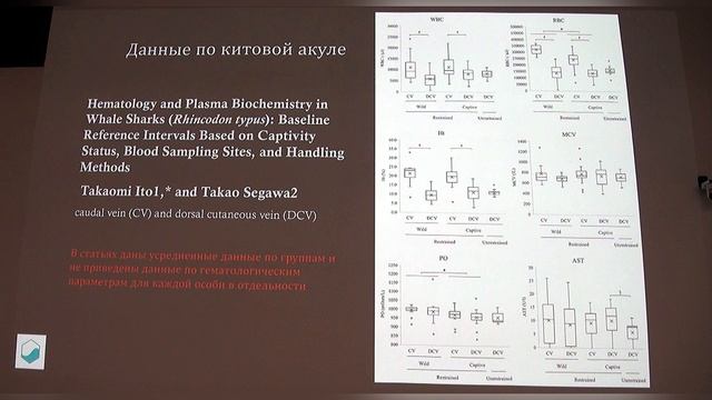 Анемия у песчаной акулы Carcharias taurus — клинические проявления, диагностика, терапия  Мамыкина