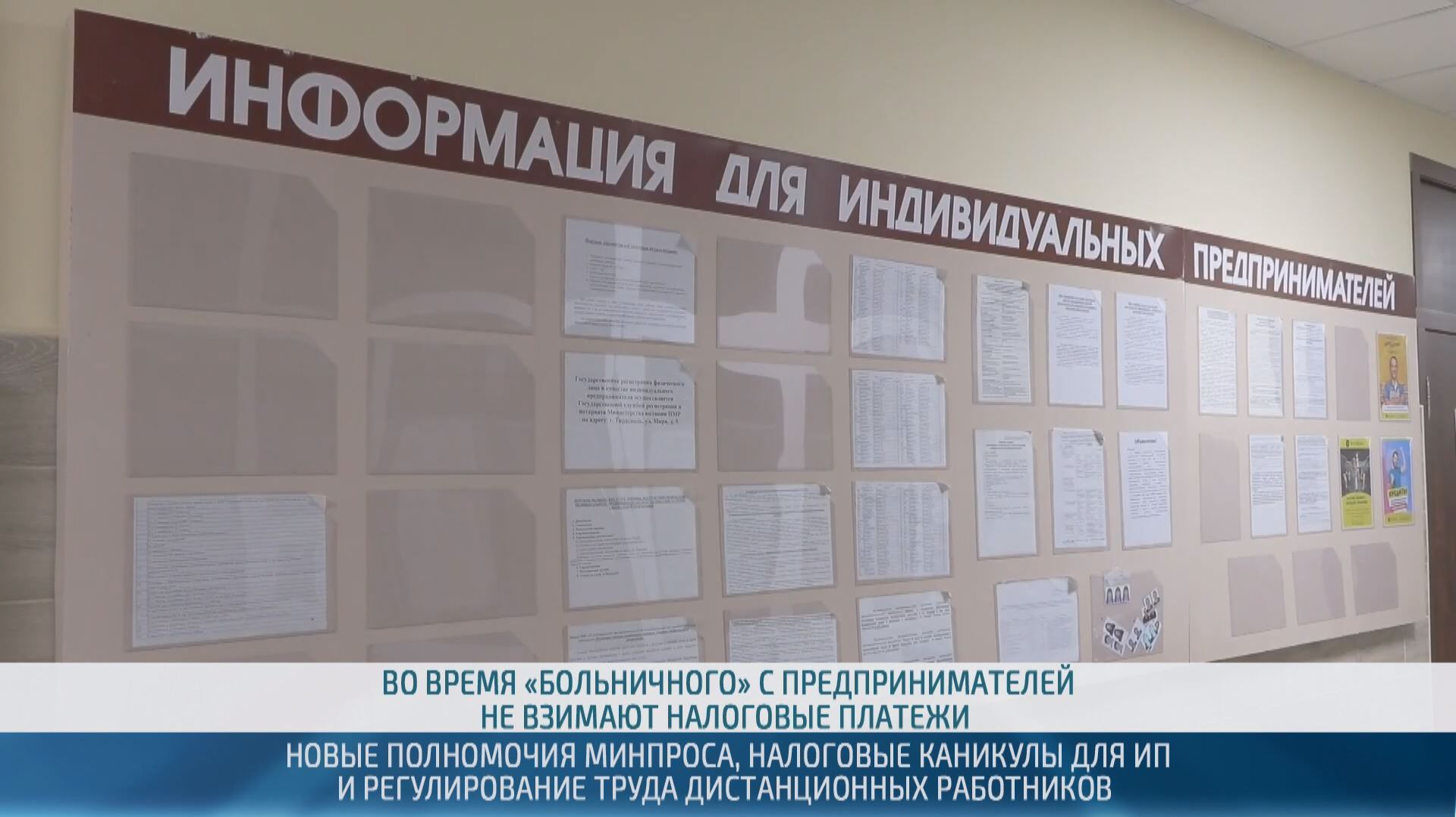Полномочия Минпроса, налоговые каникулы для ИП и дистанционная работа – 20.11.2025