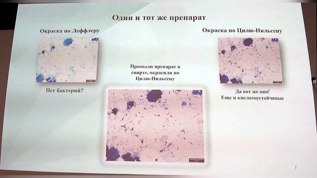 Микроскопическая диагностика возбудителей заболеваний гидробионтов с использованием органических к