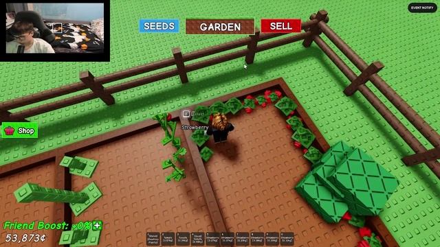 Заработал 100.000 в Grow a Garden | РОБЛОКС НЕДЕЛЯ | 3 ДЕНЬ