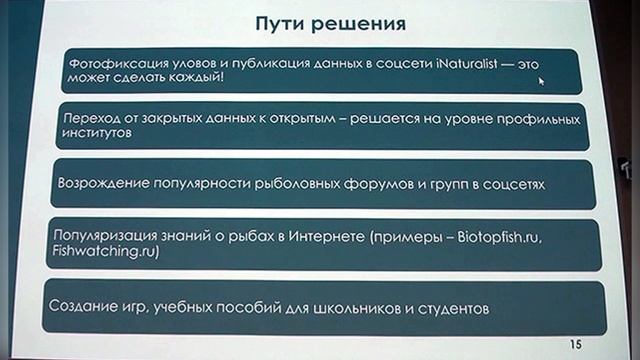 В поисках «усачей» Санкт-Петербурга и Ленинградской области Надточий Екатерина Викторовна