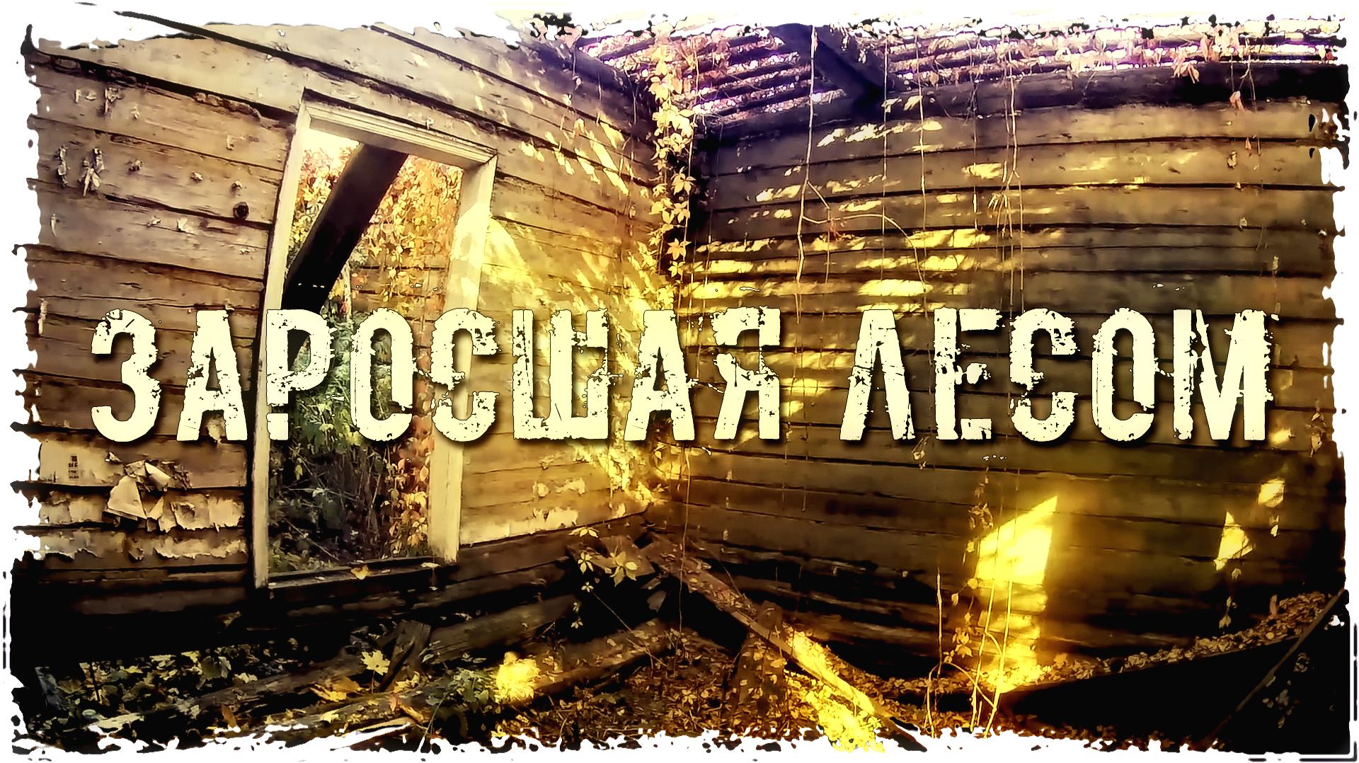 ЗАБРОШЕННАЯ ДЕРЕВНЯ "ЗАРОСШАЯ ЛЕСОМ"