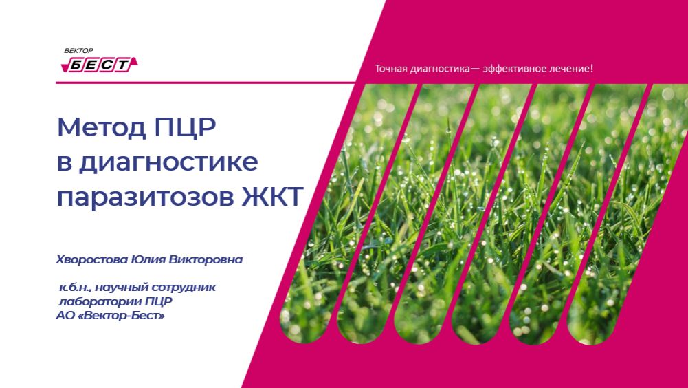 Метод ПЦР в диагностике паразитарных инфекций