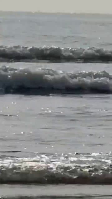 28 ноября 2024 г.