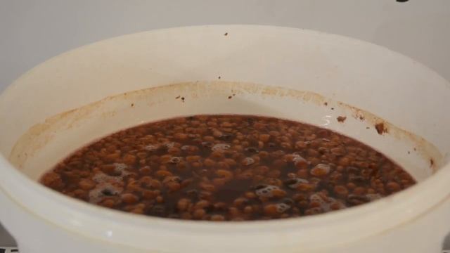 Как сделать самогон из вишни. Киршвассер по домашнему