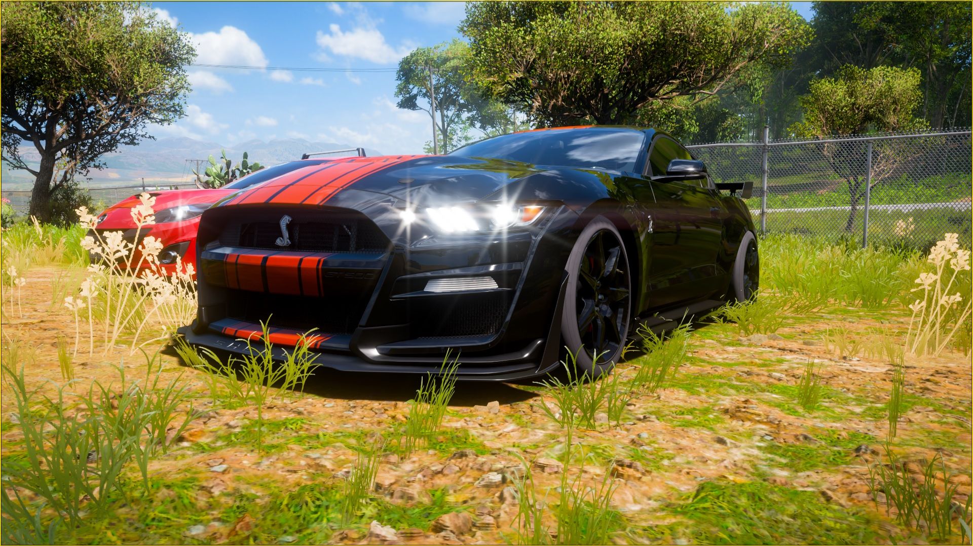 Ford Mustang Shelby GT500 2020 | Forza Horizon 5 | The Best of Shelby