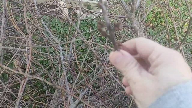 21-23 ноября 2025