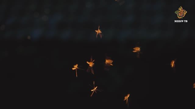 "Суда чагылыш тапкан утлар" | Гаҗәеп дөнья серләре. Бөҗәкләр дөньясы