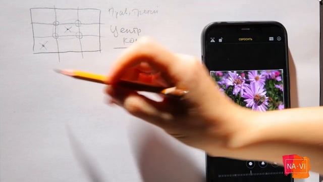 СЕКРЕТ ХУДОЖНИКА. Надежда Ильина. Какой должна быть композиция