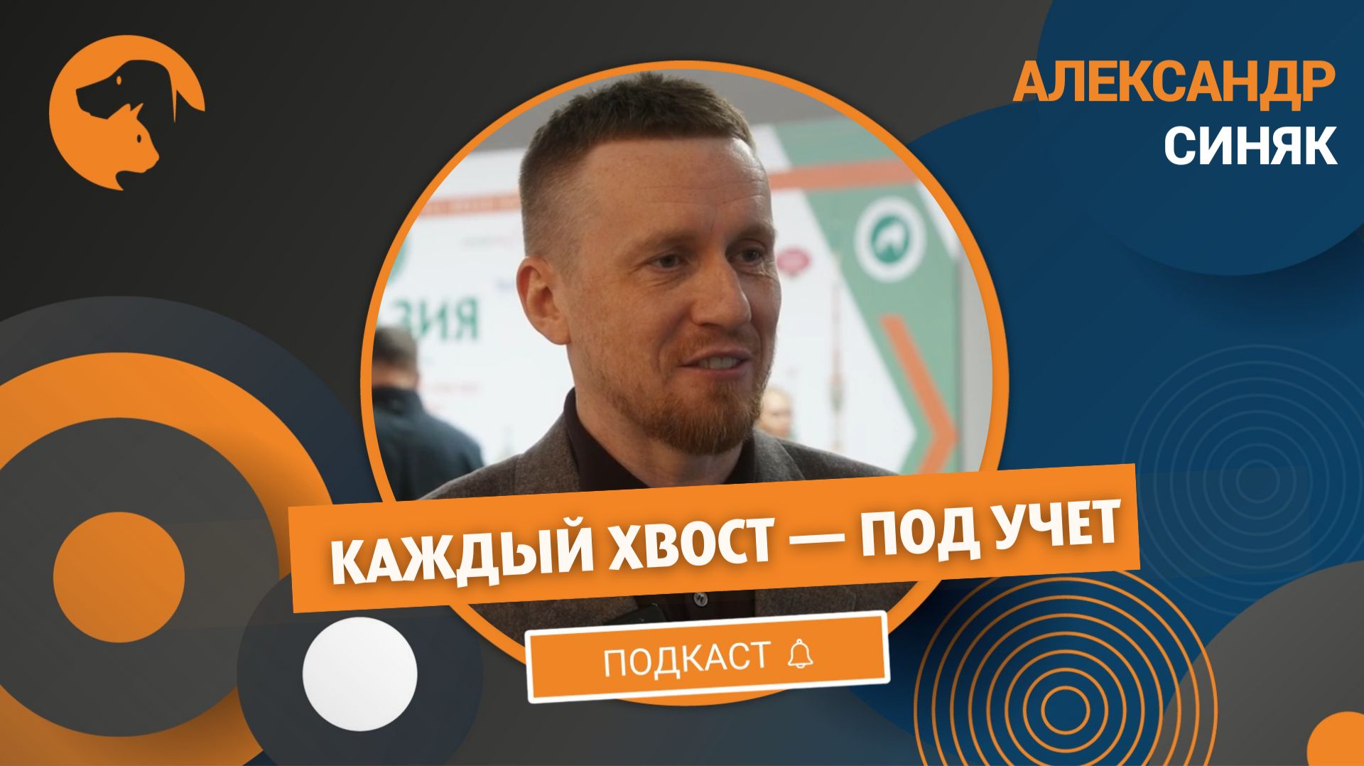 Почему нужно обязательно чипировать собак?