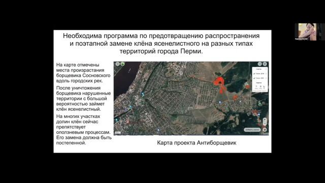 Роль экологической общественности в решении проблемы фитоинвазии клёна ясенелистного в г. Перми