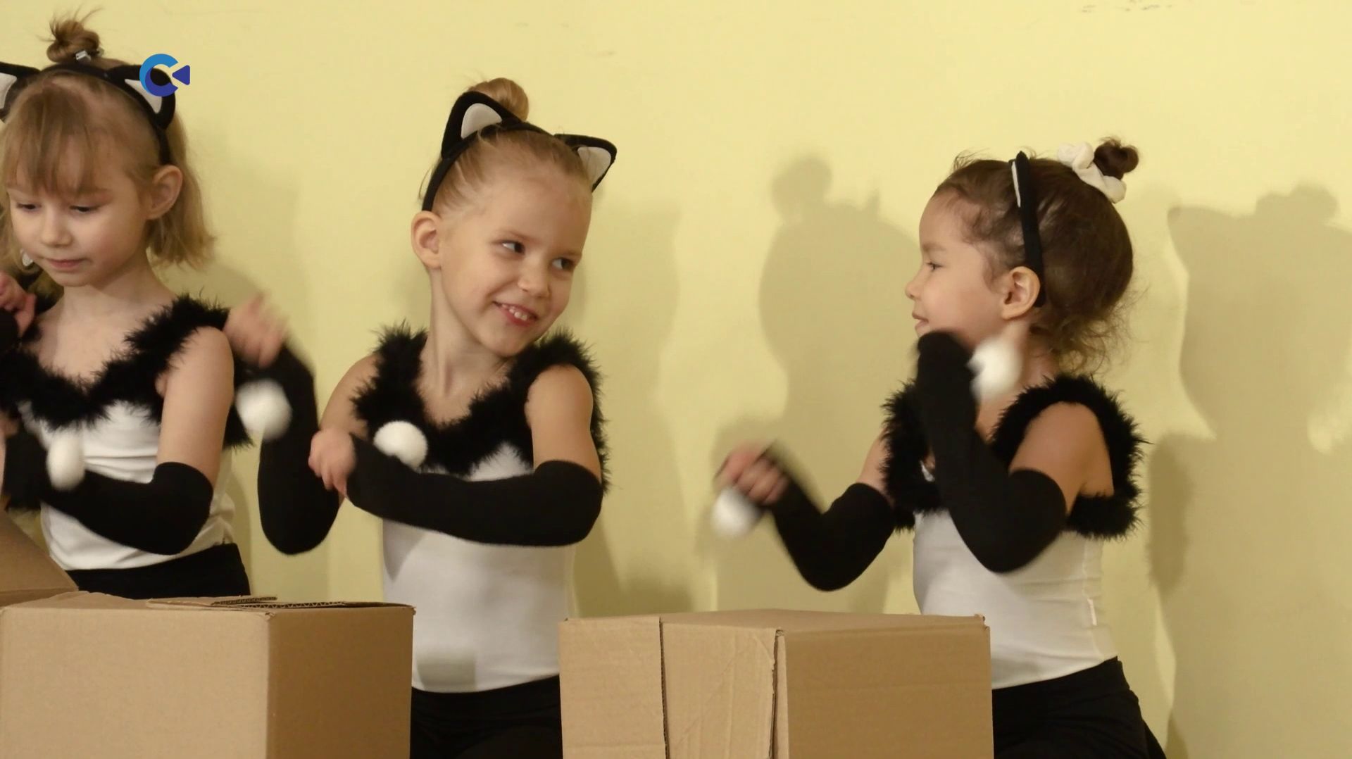 В Петрозаводском доме-интернате для ветеранов прошел благотворительный концерт