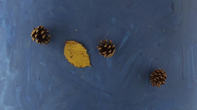 Осенние листья 2Б класс