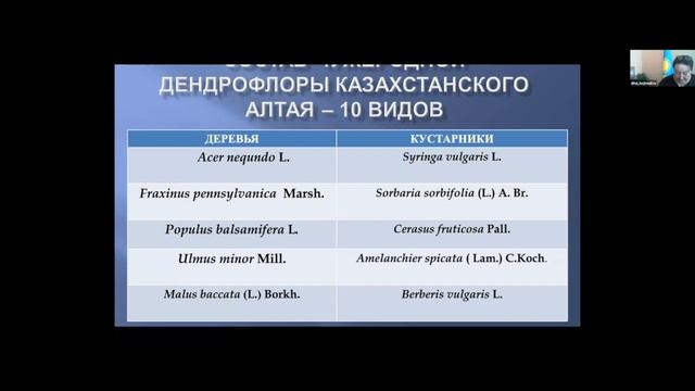 Чужеродные виды дендрофлоры Казахстанского Алтая и степень их натурализации