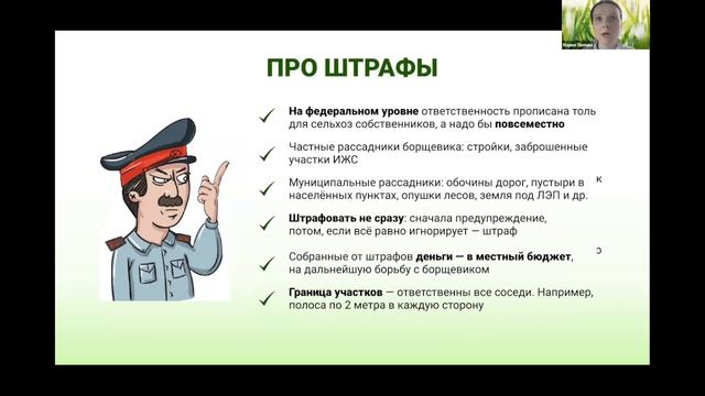 Административные трудности борьбы с борщевиком Сосновского