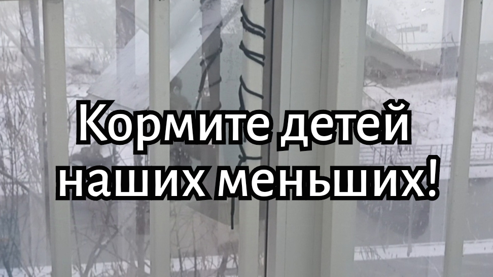 Кормите детей наших меньших!