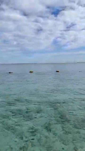 Индийский океан, остров Маврикий 🌍 какая чистая вода!