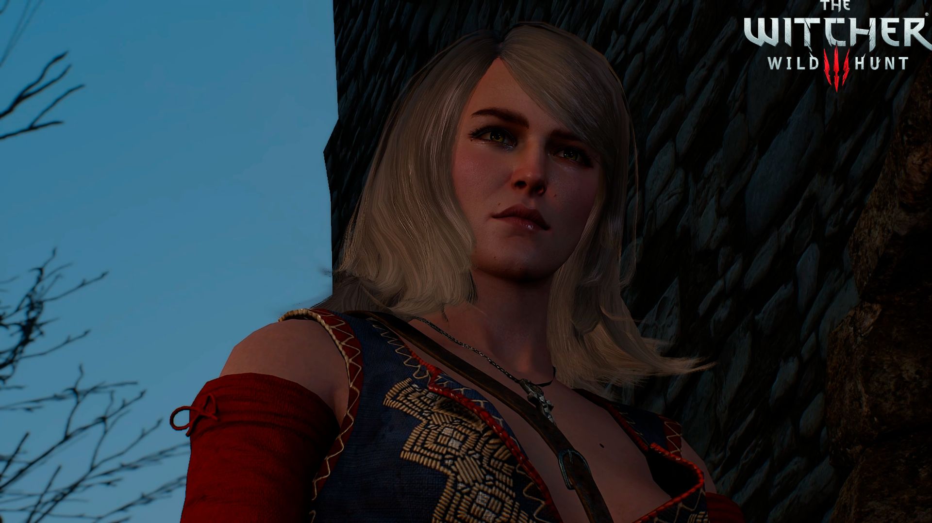 Ведьмак 3 - Выбор Трисс #10 - Дружеская услуга