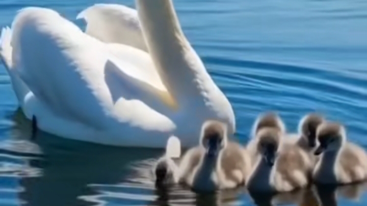 Только мама