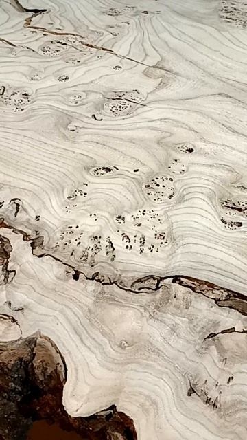 Каповый карагач - идеальное дерево для изготовления столешницы в стиле лофт