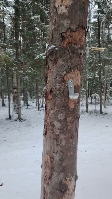 Pro Поход 3 ©20251119