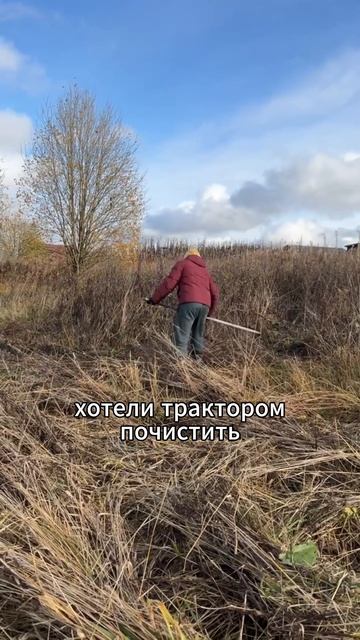 Косим траву по старинке, этот "триммер" не подведет и не заглохнет #стройка #участок #покос #трава