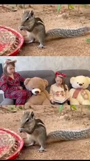 Наши лесные друзья О.Глушак