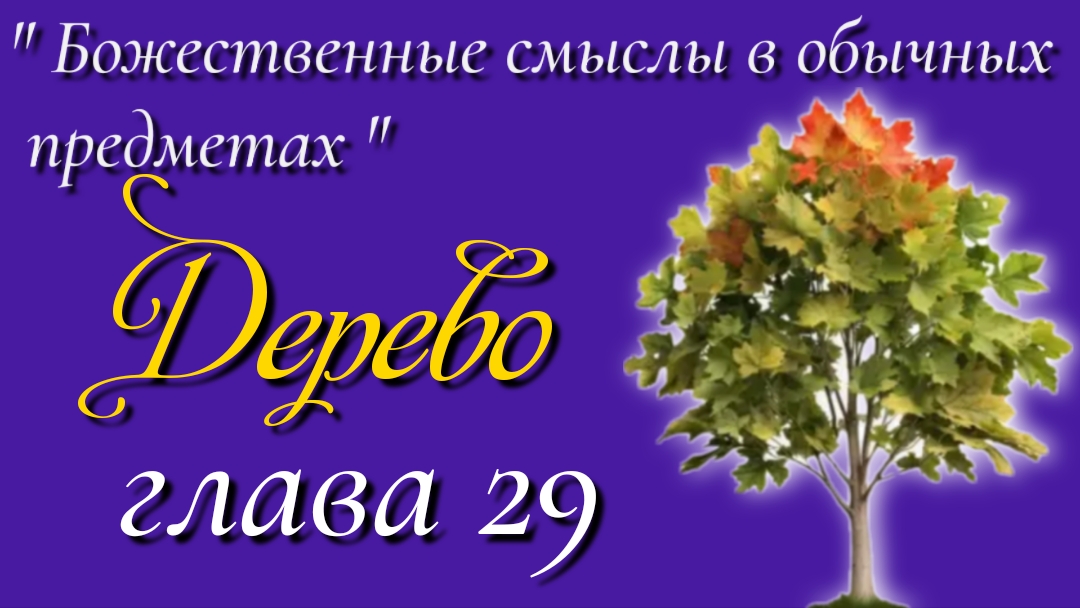 29) Дерево