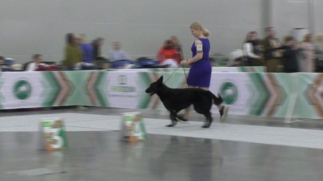 Омская Дружина Эра Вододея