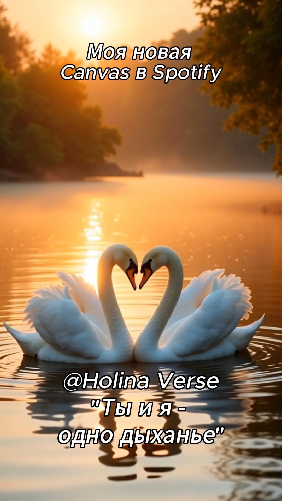 ✨ Ты и я — одно дыханье  #holinaverseofficial #музыка #holinaverse  #русскаямузыка #canvasspotify