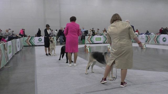 Сравнение рабочего класса