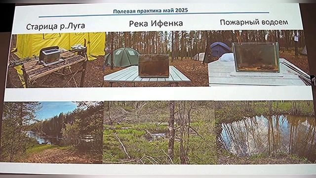 Биотопный аквариум  Полевая практика наберегу водоема Захарова Наталия Александровна