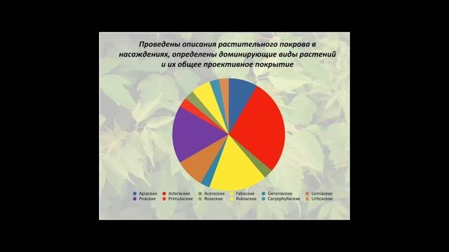 Влияние Acer negundo L. на формирование структуры растительных сообществ