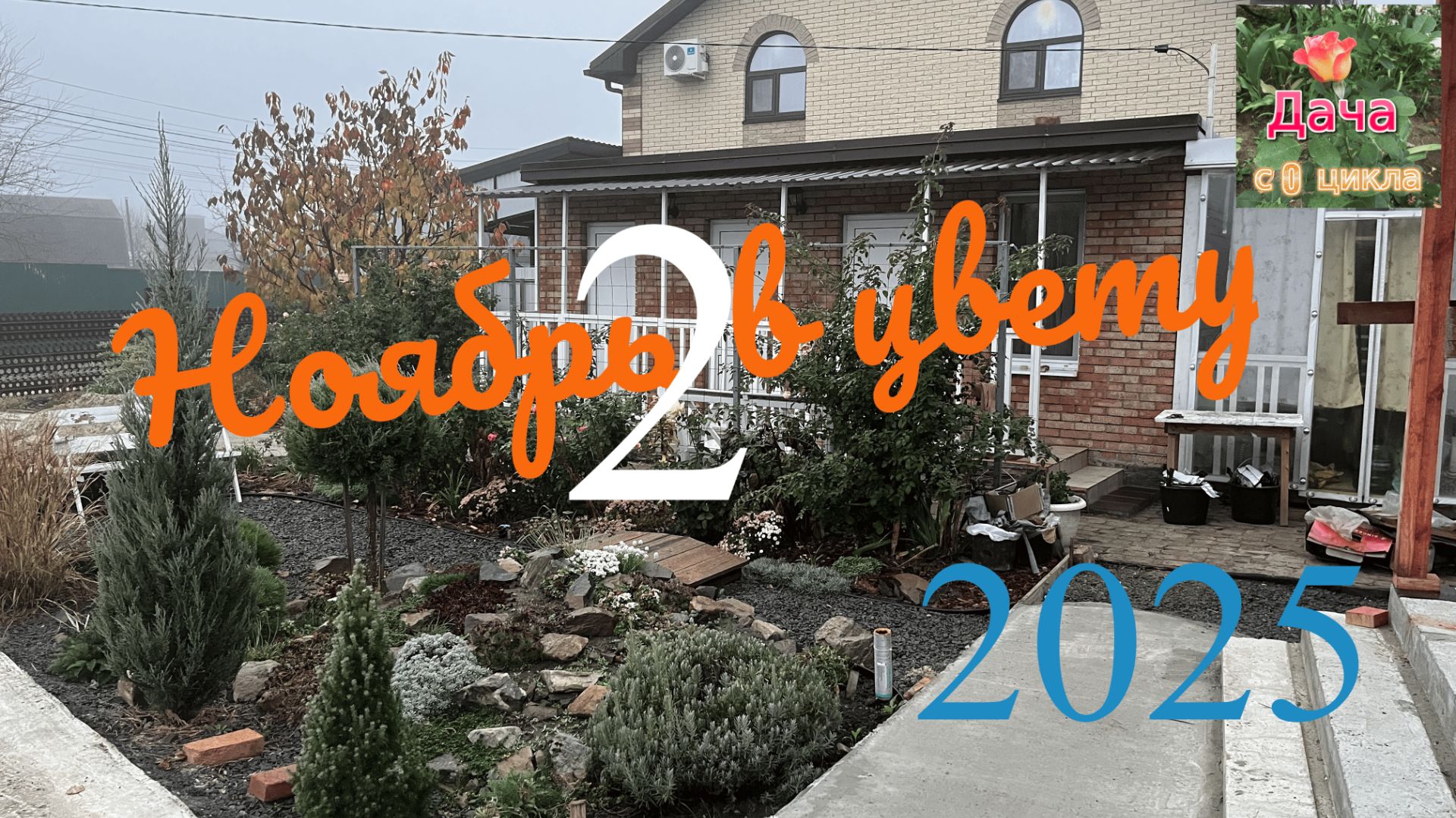 Ноябрь в цвету -2