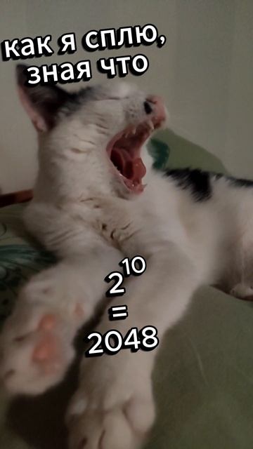 Секретный способ выучить степени двойки