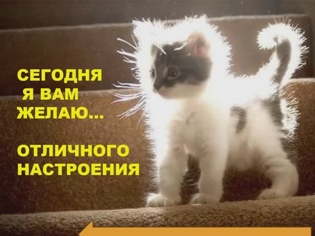 Настрой на хороший день от BN-24