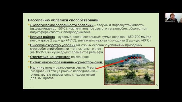 Облепиховая стадия в восстановительной сукцессии коренных лесов Южного Приморья