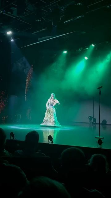 Великолепная игра на скрипке