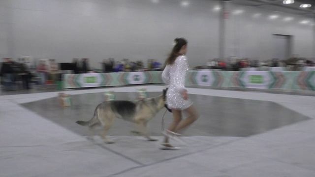 Русская Легенда Огненная Птица