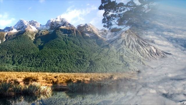 Stive Morgan - Piligrym