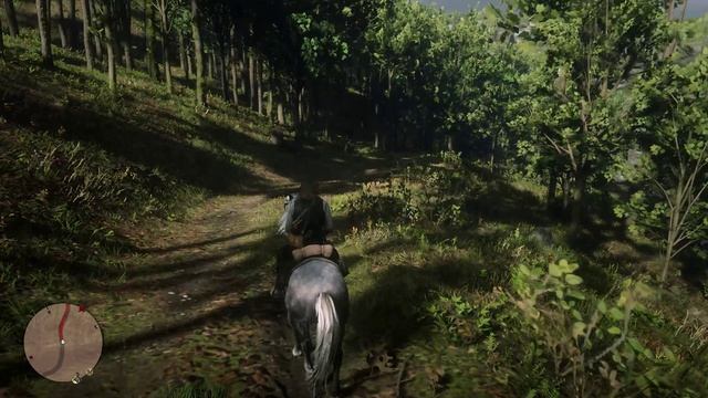 Red Dead Redemption 2 . ВИЗИТ ВЕЖЛИВОСТИ