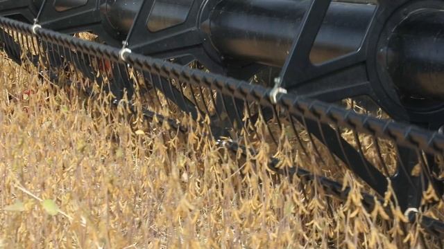 Жатка для уборки сои FLOAT STREAM: отзыв фермера из Саратовской области